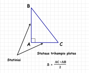 Stačiojo trikampio plotas - Matematikos Guru