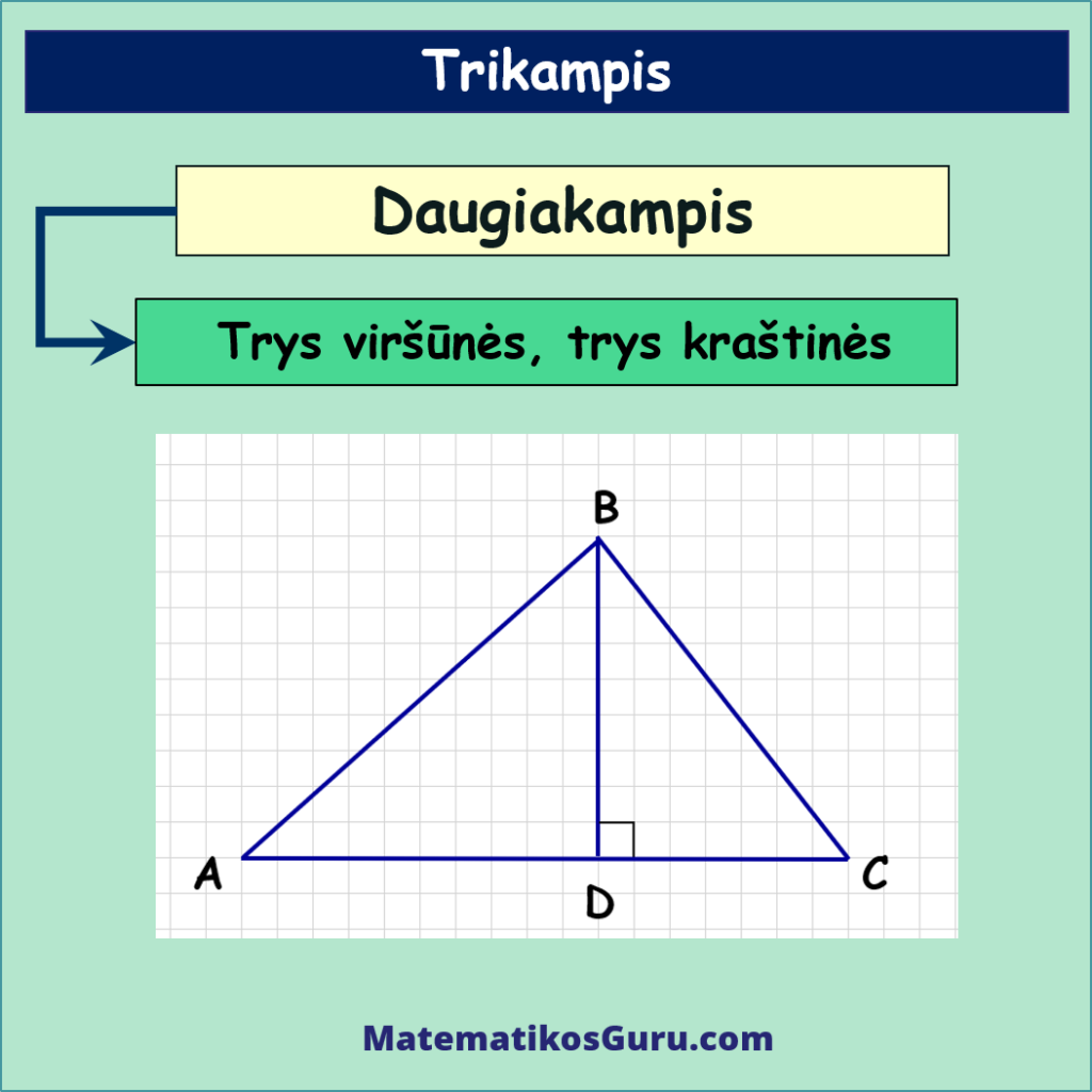 Trikampio plotas - skaičiavimas, pavyzdys | Matematikos Guru