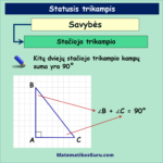 Statusis trikampis - sąvoka, savybės |Matematikos Guru