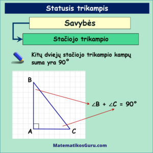 Statusis trikampis - sąvoka, savybės |Matematikos Guru
