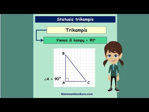 Stačiojo trikampio plotas - Matematikos Guru