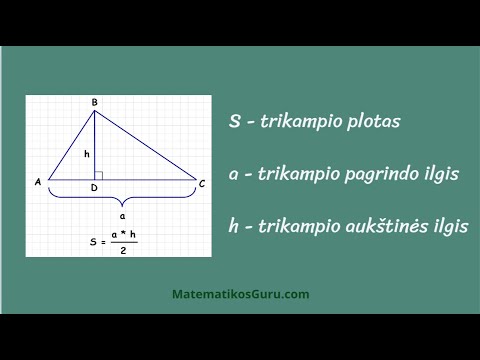 Trikampio plotas - skaičiavimas, pavyzdys | Matematikos Guru